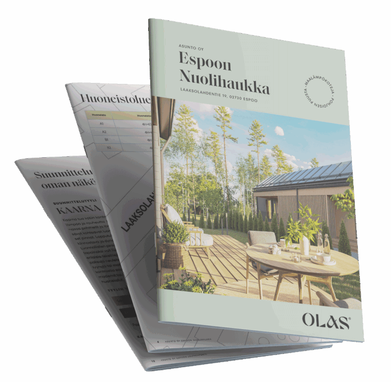 Espoon Nuolihaukka (loppuunmyyty) | Olas Group Oy